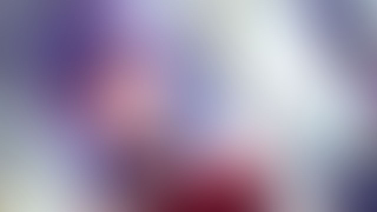 恋爱少女与守护之盾 恋する乙女と守護の楯 Galgame档案 - Hikarinagi