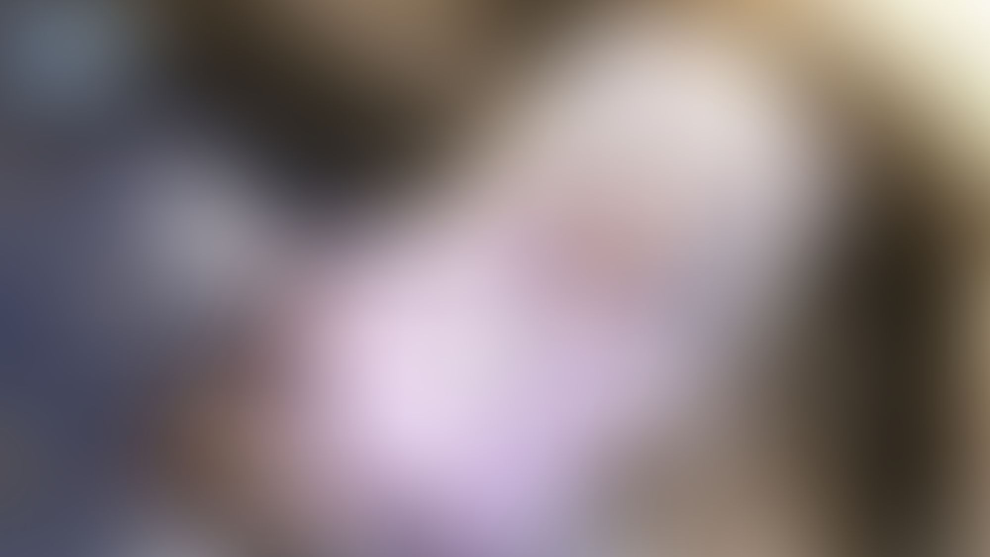 あの日の君を振り向かせて。 Galgame档案 - Hikarinagi