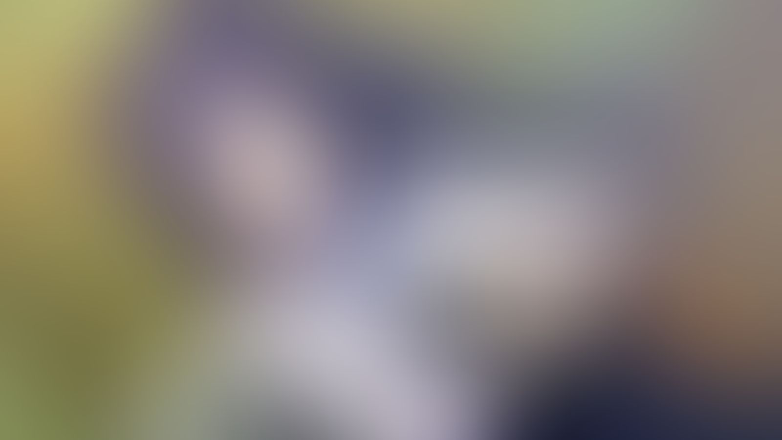 告别回忆 双想 ～Not always true～ メモリーズオフ 双想 ～Not always true～ Galgame档案 - Hikarinagi